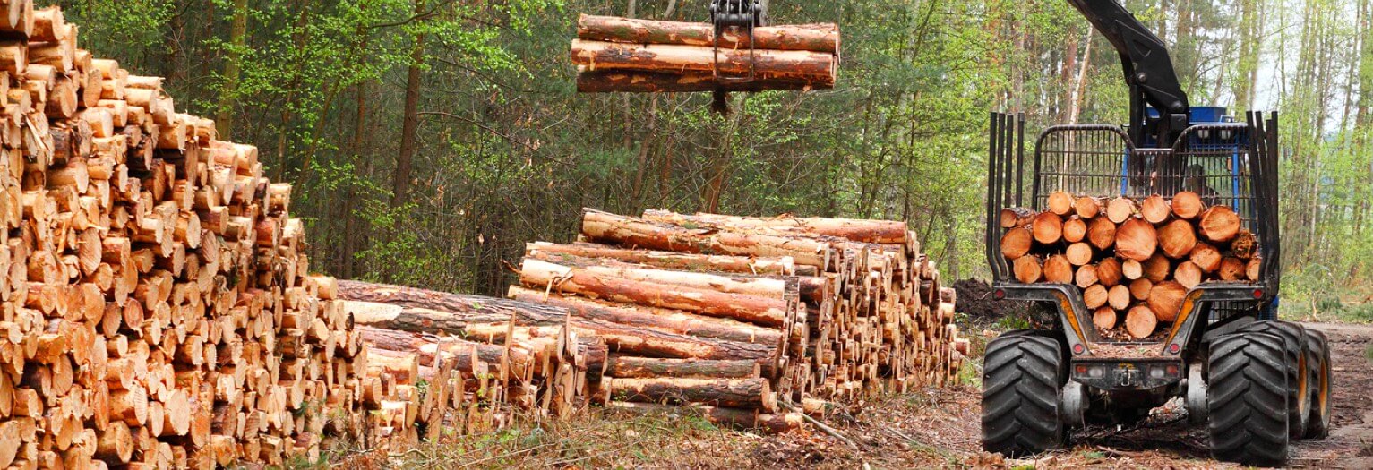 Vegetation Management, industry analysis and market report. | Plimsoll ...